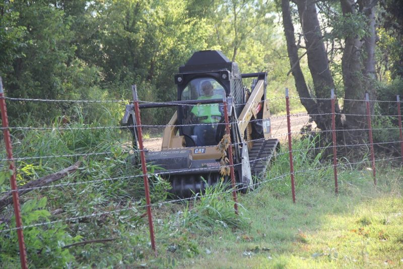 Right of Way Clearing | Tree Maintenance and Clearing | Riggs Tree