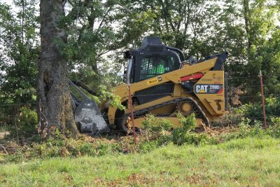 Right of Way Clearing | Tree Maintenance and Clearing | Riggs Tree