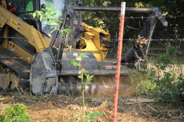 Right of Way Clearing | Tree Maintenance and Clearing | Riggs Tree