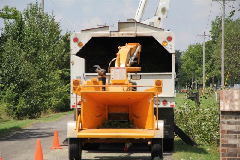 Right of Way Clearing | Tree Maintenance and Clearing | Riggs Tree